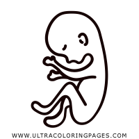 Embryo Coloring Page - Ultra Coloring Pages